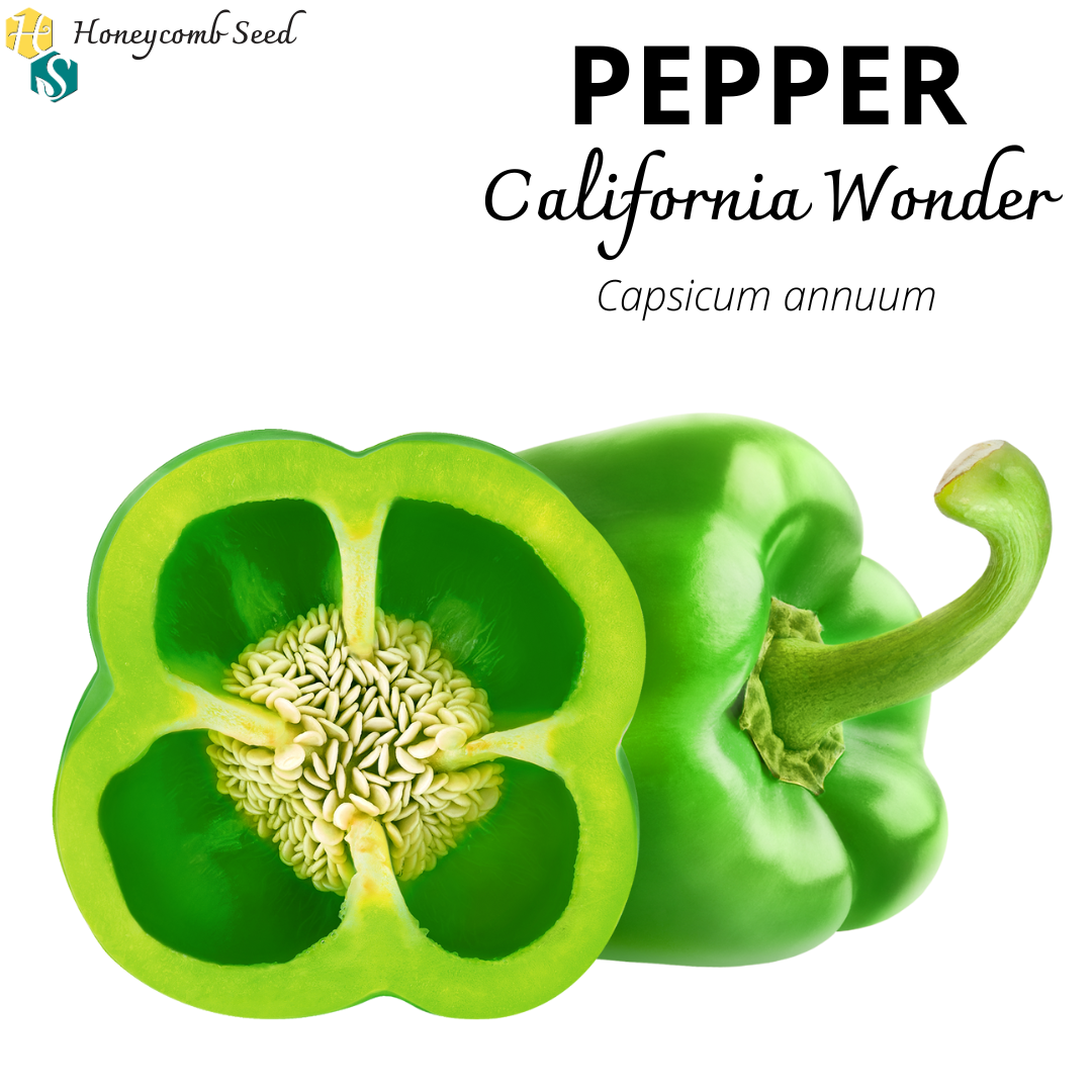Pepper California Wonder – Honeycomb Seed